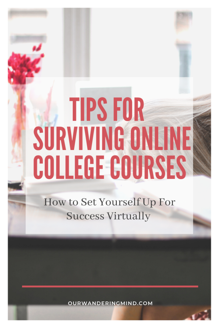Tips for Surviving and Succeeding Online College Courses - Our ...